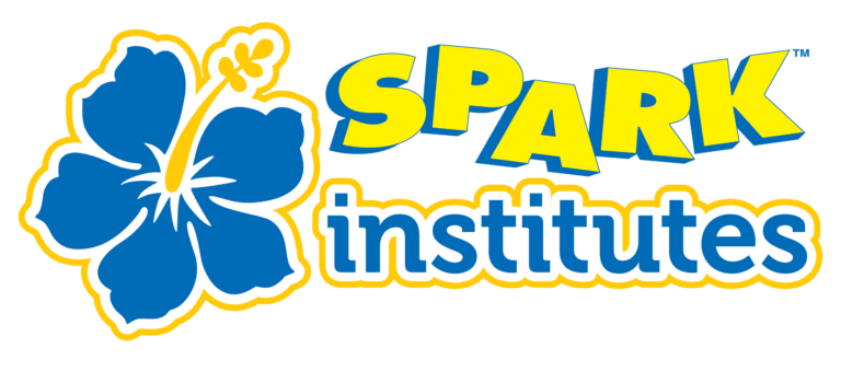 Professional Development - SPARK PE